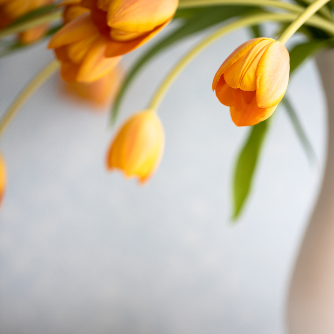 Mental Health and Hormones - Dr Indra